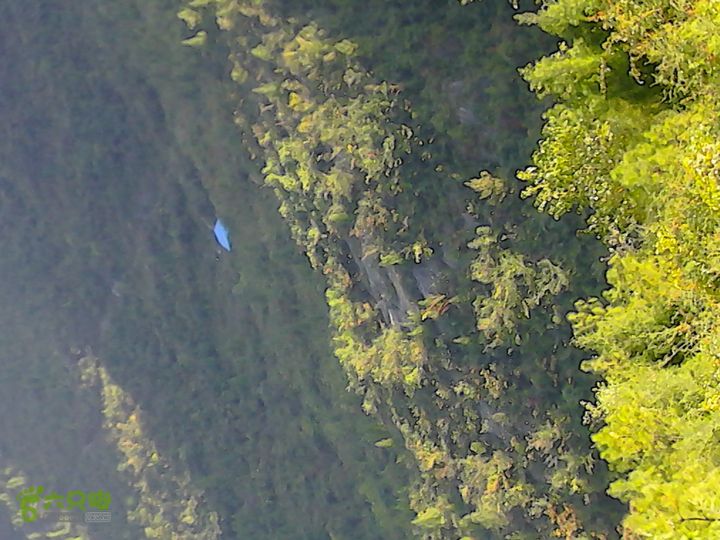 20131013初探龙桥河（利川）IMG_20131013_094107_脚印_利川市_六只脚